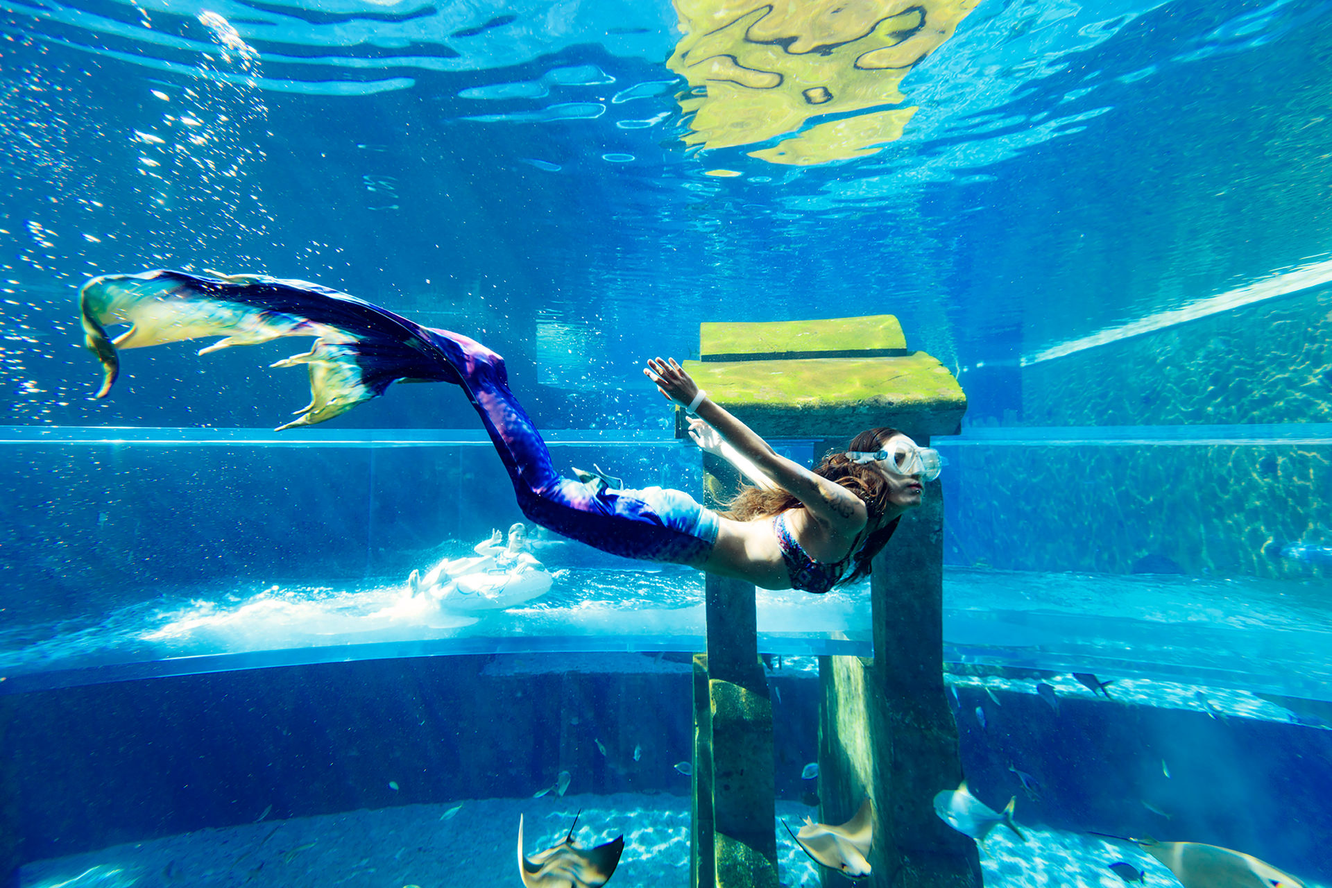 Atlantis Sanya Official Site – Where water meets wonder