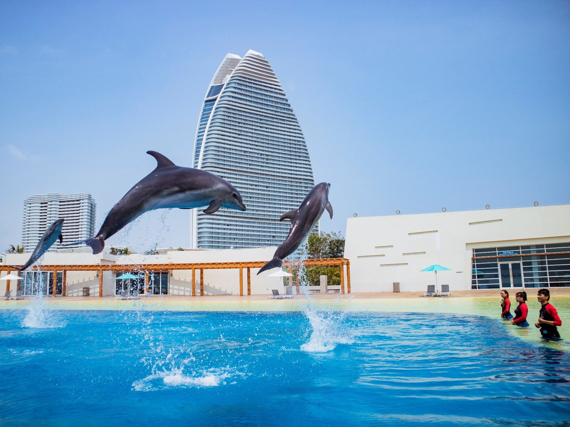 Atlantis Sanya Official Site – Where water meets wonder